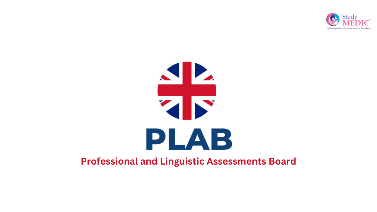 Home - StudyPal – AI-Driven Exam Prep & Study Partner Matching